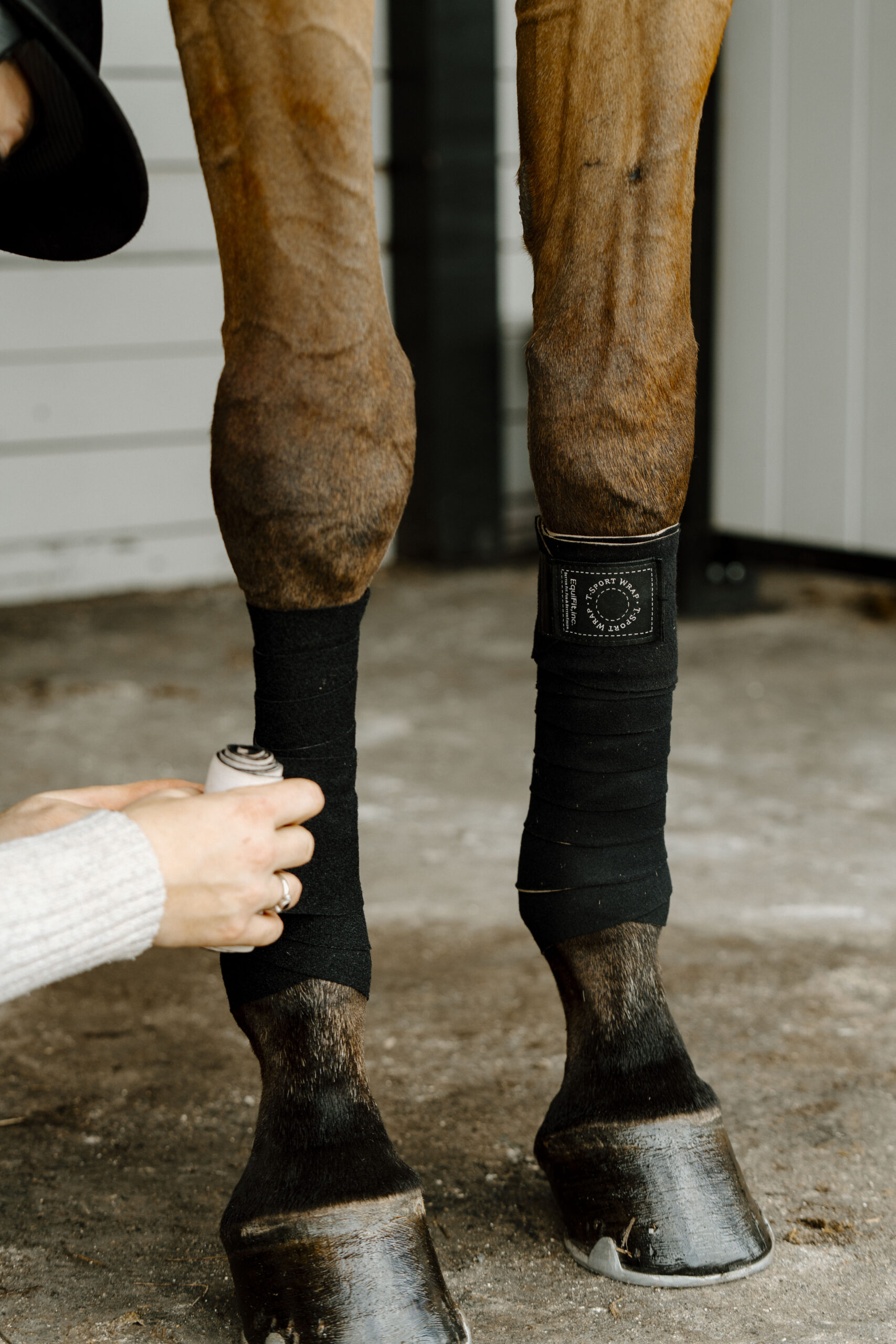 The Importance of Visual Branding in the Equestrian Industry ...
