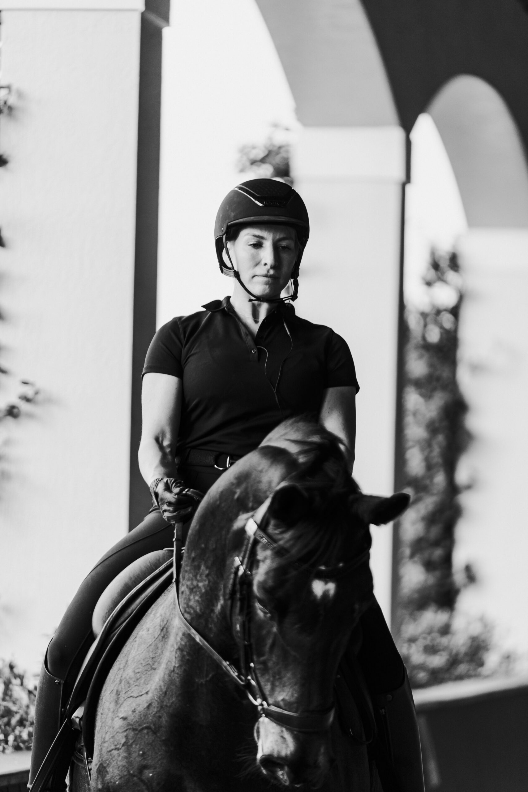 The Importance of Visual Branding in the Equestrian Industry ...