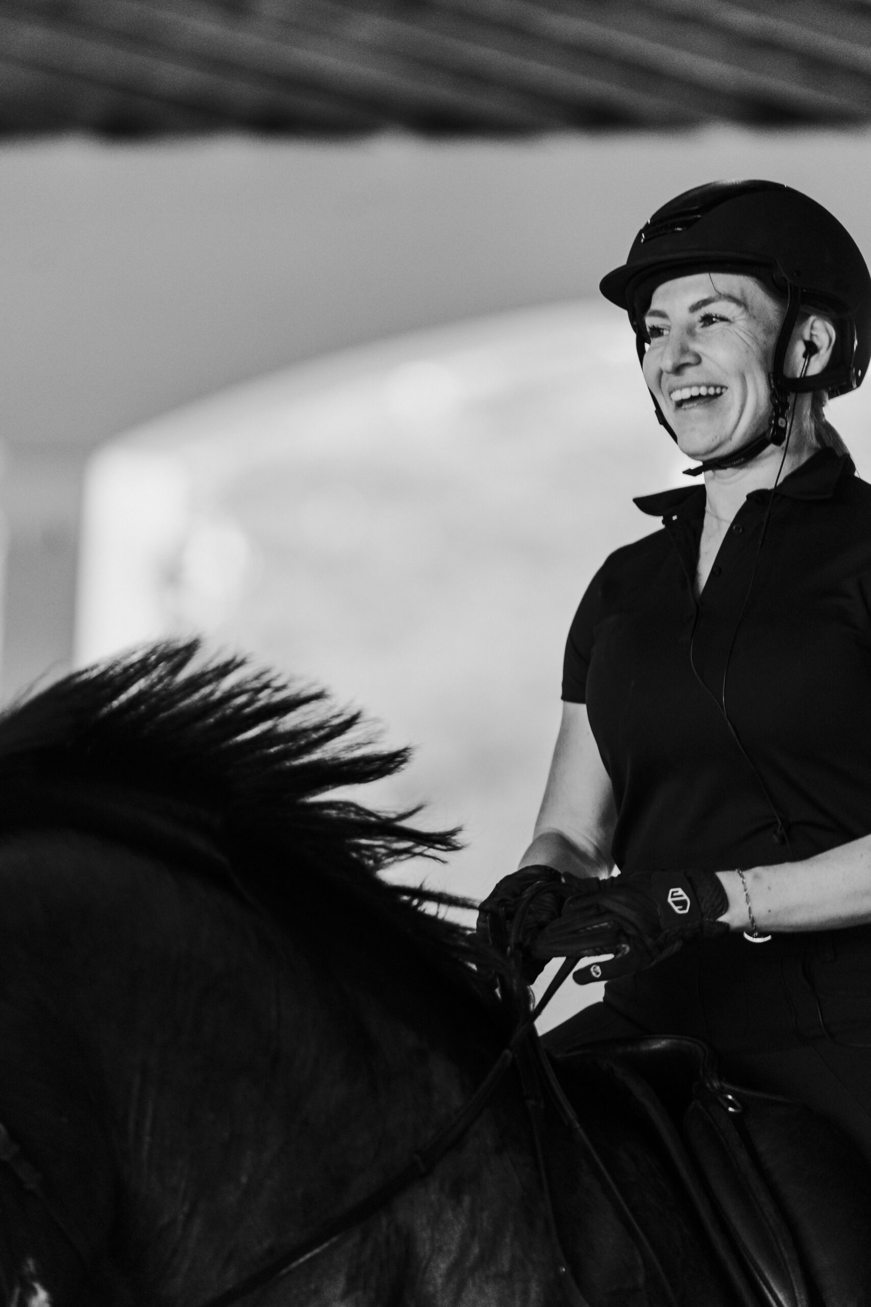 The Importance of Visual Branding in the Equestrian Industry ...