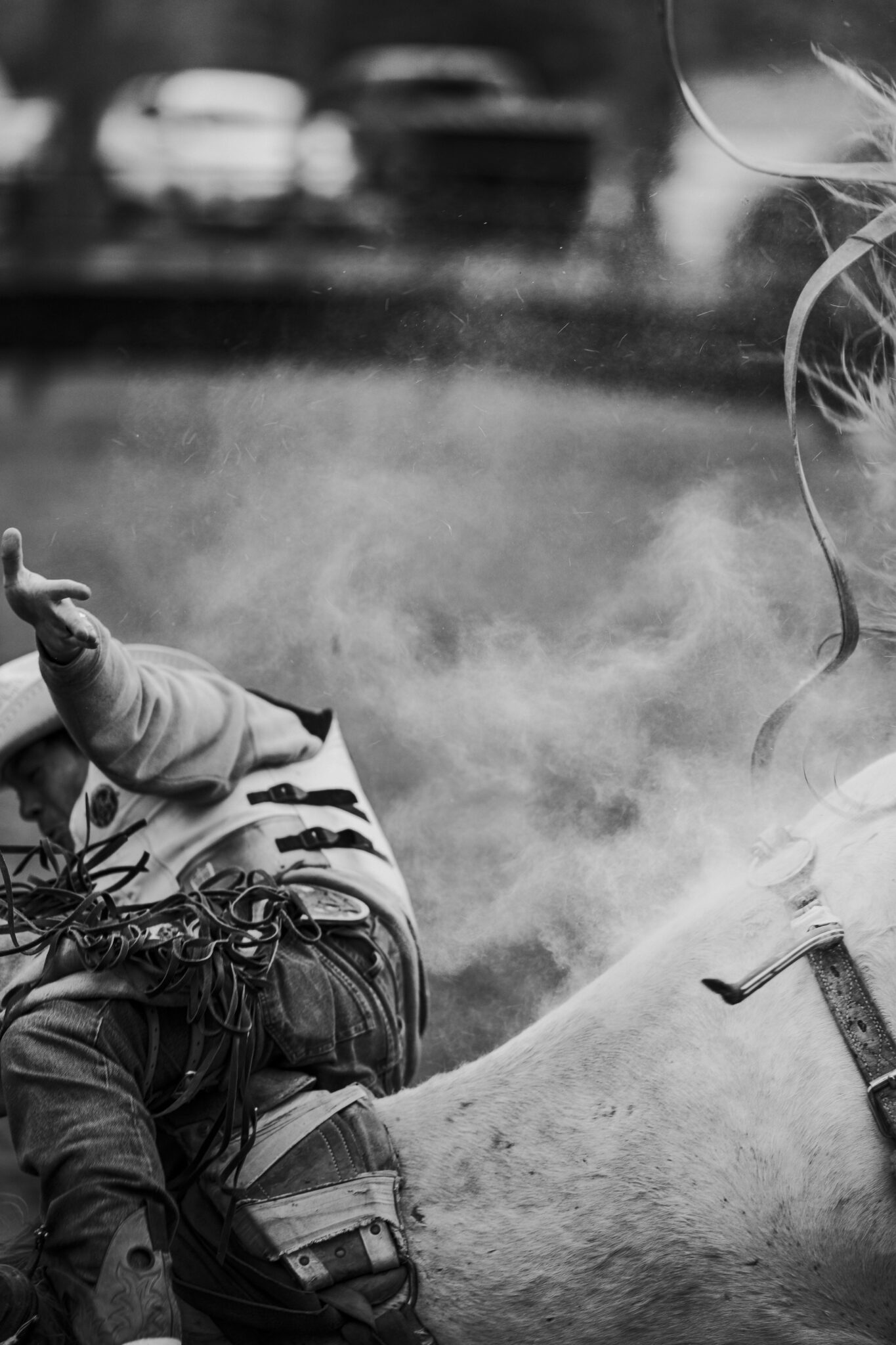 Build A Cowboy Rodeo School – Ohsweken, Ontario | seafindphotography.com